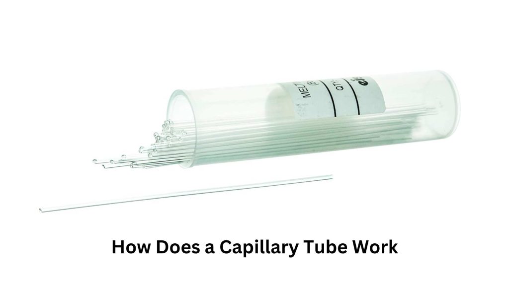 How Does a Capillary Tube Work: A Detailed Guide
